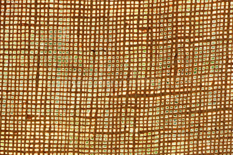 Natural Linen Texture for the Background. High Resolution Photo Stock ...