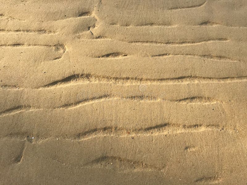 Natural Lines on Grass Meadow. Lonely Tree in Fields Stock Photo ...