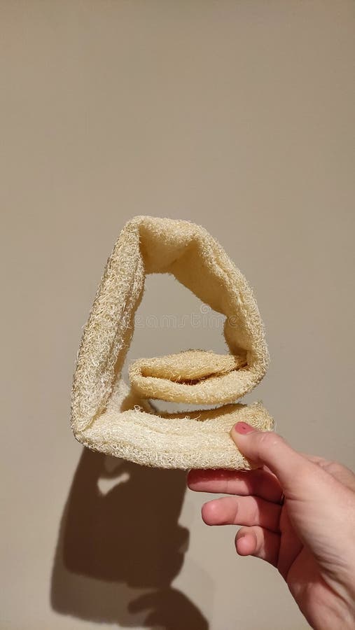 Hand Holding Folded Loofah Sponge from Egypt, Marsa Alam Stock Image ...