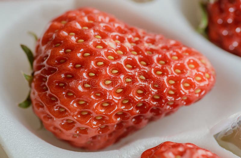 Red strawberry in package stock image. Image of closeup - 370777609