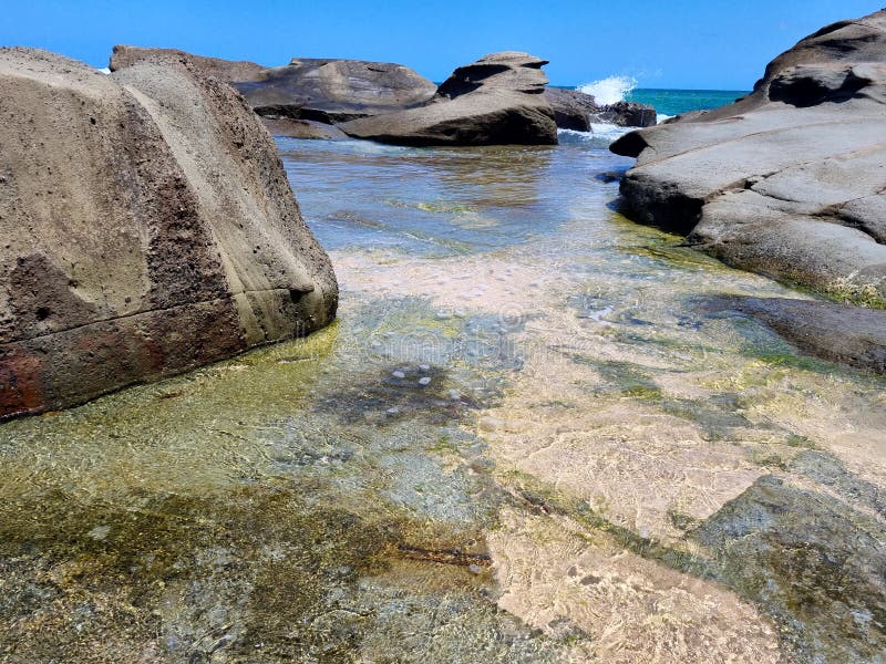 Natural Love Heart on a Tree Trunk Stock Image - Image of aged, forms ...