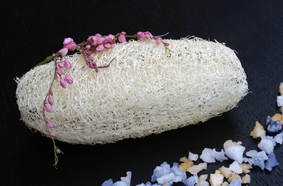 Natural Luffa Sponge stock photo. Image of natural, white - 40869456