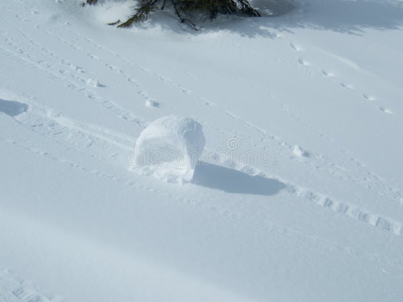 Natural Made Snowball of Wet Snow Stock Image - Image of naturel ...