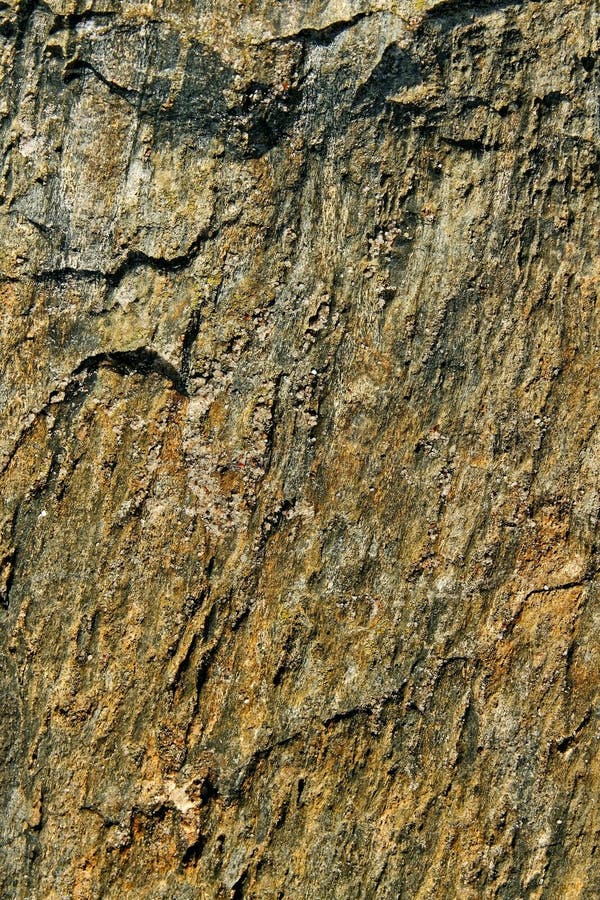 Natural marble. stock image. Image of canvas, interior - 35230355