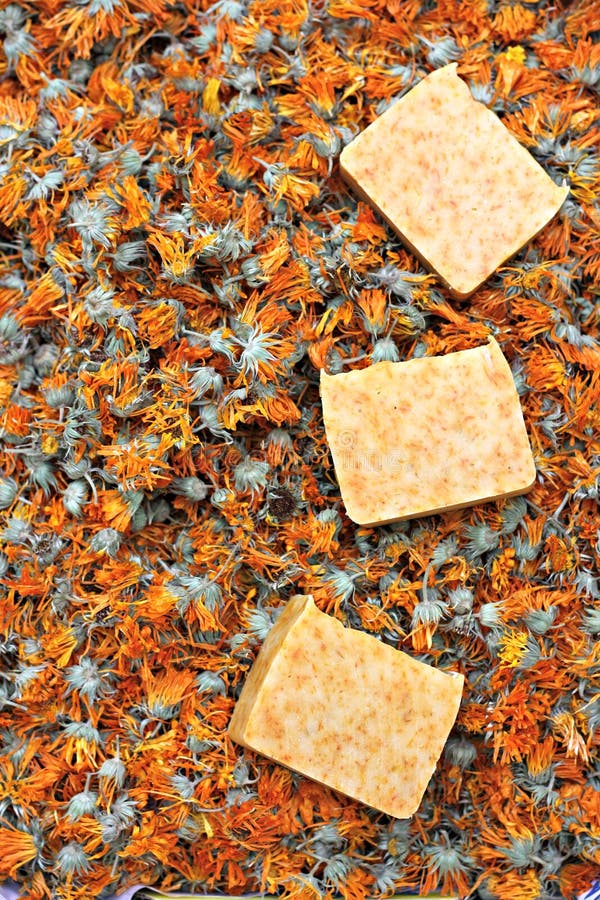 584 Marigold Soap Stock Photos - Free & Royalty-Free Stock Photos from ...