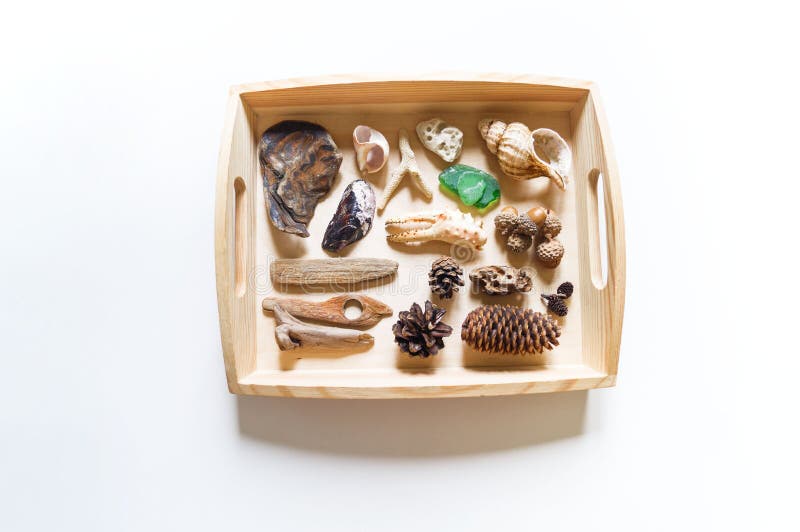 Natural Material Montessori Training. Basket Tray with Objects for ...