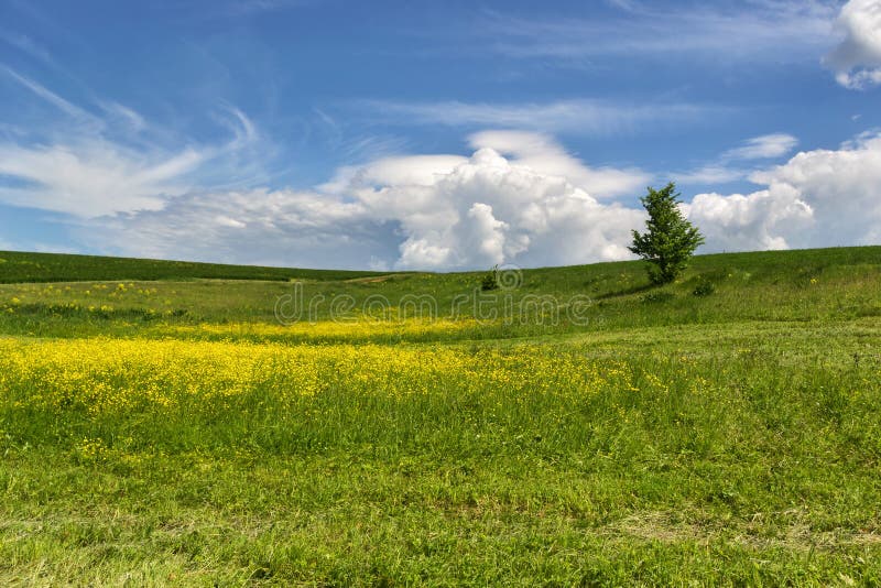 Natural Meadow Landscape and Beautiful Sky with Clouds Stock Photo ...