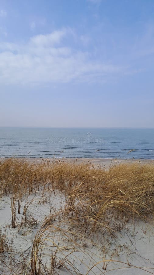 Natural Meadow on the Sea Beach, Dune Stock Image - Image of horizon ...