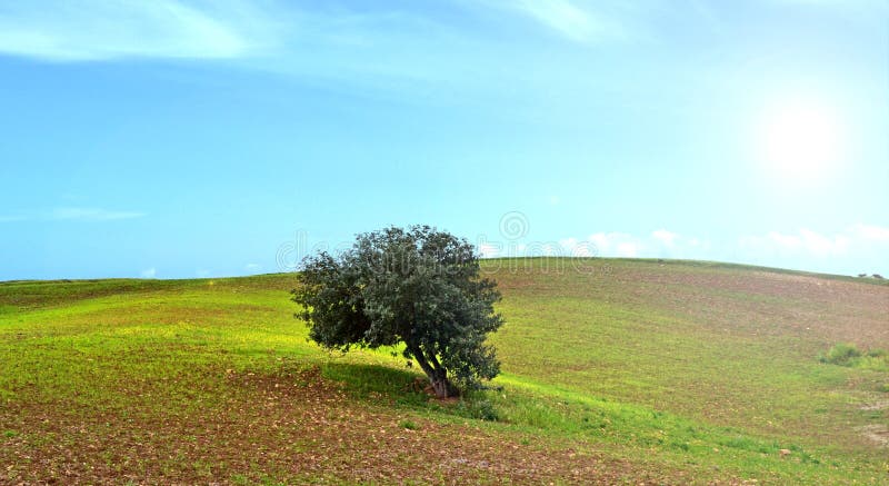 Natural Mediterranean Landscape Stock Image - Image of italian, clouds ...