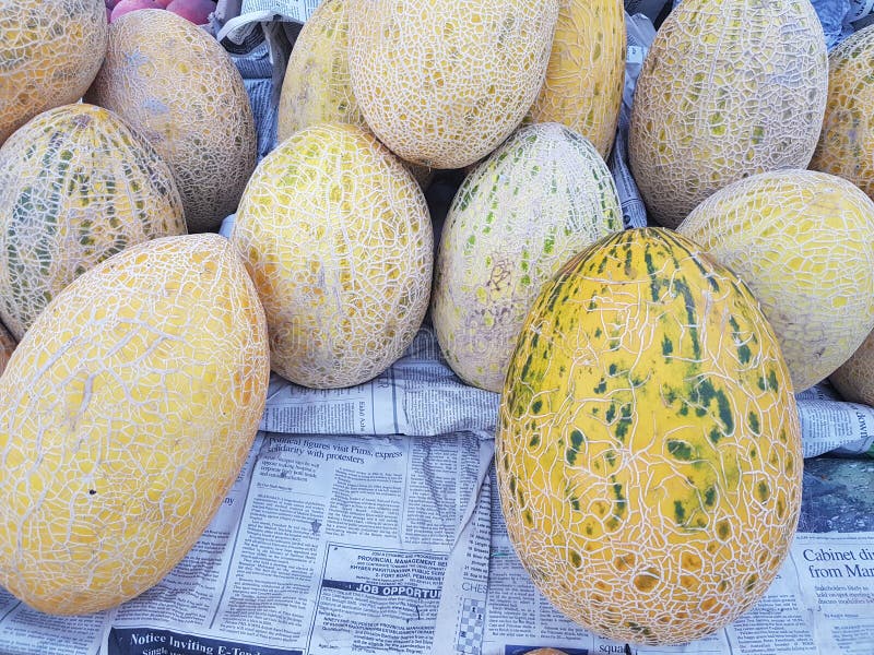 Natural Melons from Afghanistan Import in Pakistan Editorial Photo ...