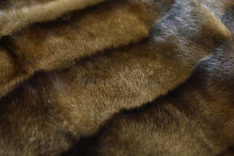 Mink Fur Texture Background Stock Image - Image of closeup, animal ...