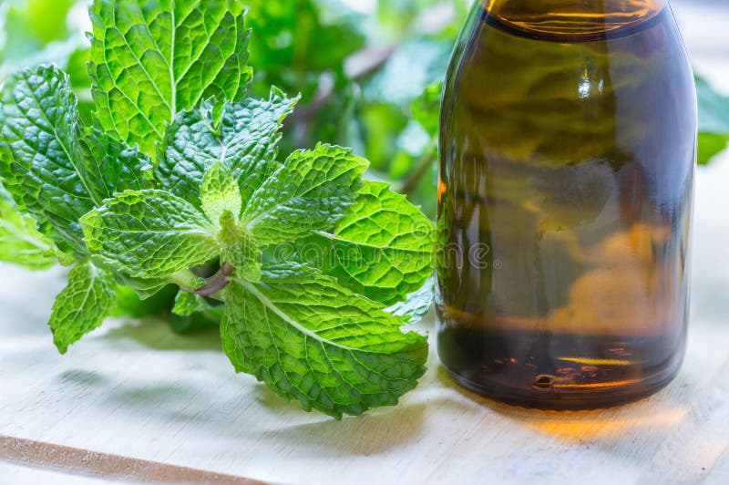Natural Mint Essential Oil in a Glass Bottle Stock Photo - Image of ...