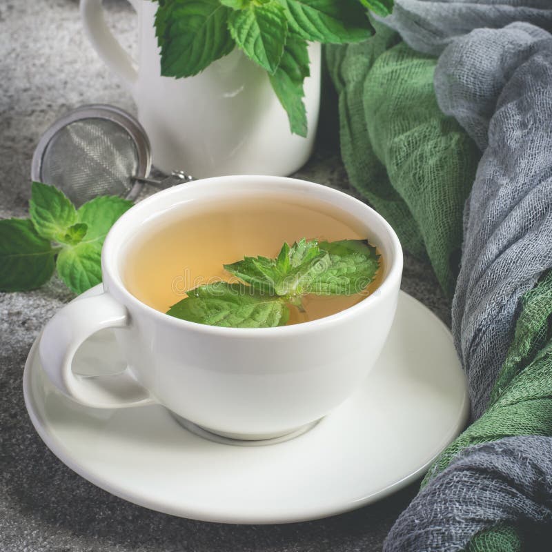 Natural Mint Tea and Fresh Mint Leaves on a Gray Background Stock Image ...