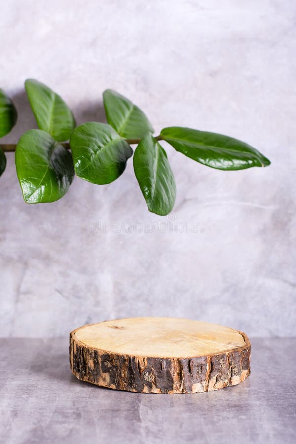 Natural Mock-up of a Tree Cut and a Branch with Leaves on a Gray ...