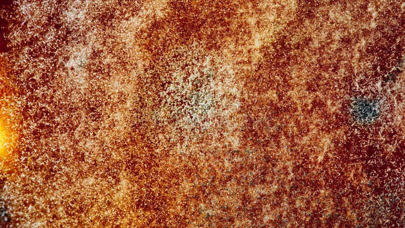 Natural mold texture stock photo. Image of natural, abstract - 111655140