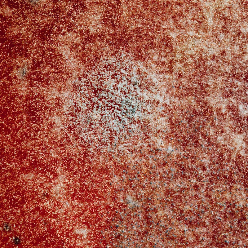 Natural mold texture stock photo. Image of artistic - 111655160