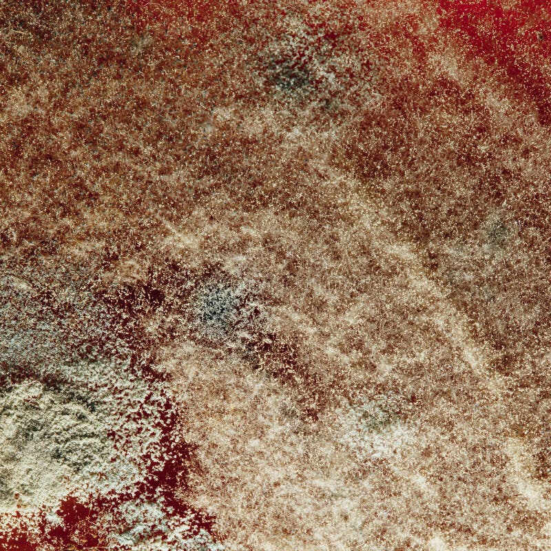 Natural mold texture stock photo. Image of copy, liquid - 111985736