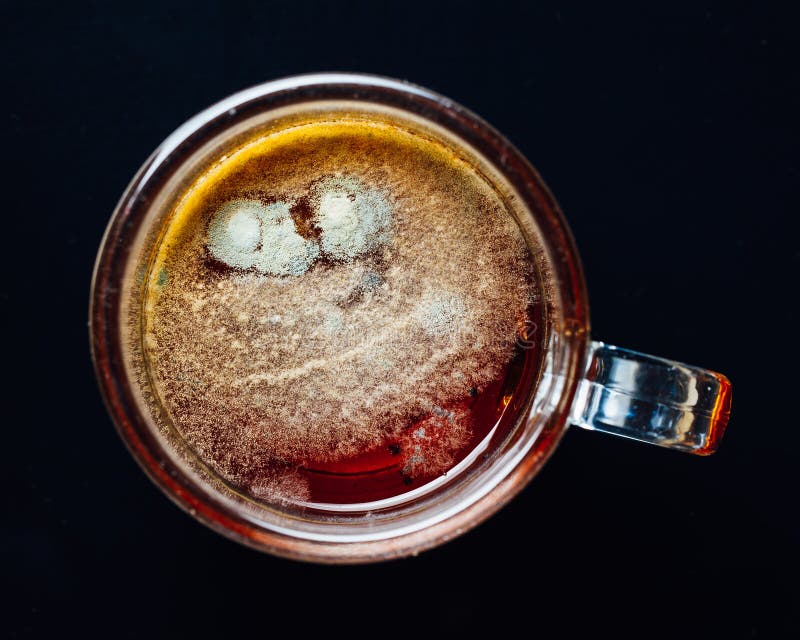 Mold colonies stock photo. Image of food, mold, allergy - 22362764