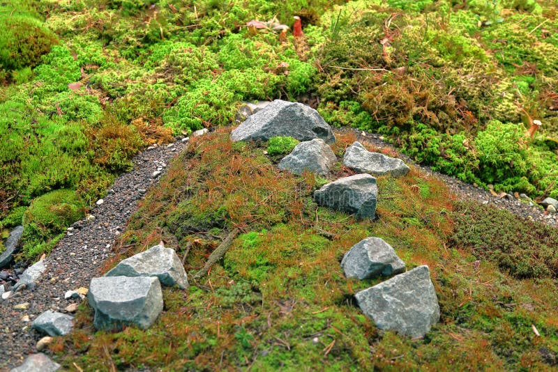 Natural Moss in a Modern Landscape Design Stock Image - Image of ...