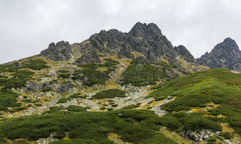 Natural Mountain Landscape. View of the Peak from the Valley Stock ...