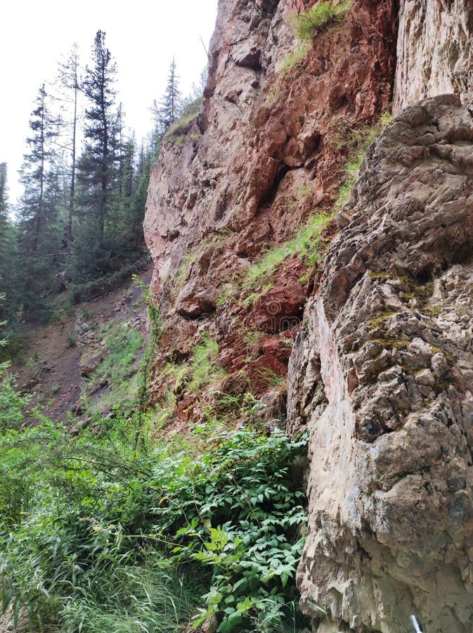 Natural Mountain Plains and Hills Stock Photo - Image of forest, cliffs ...