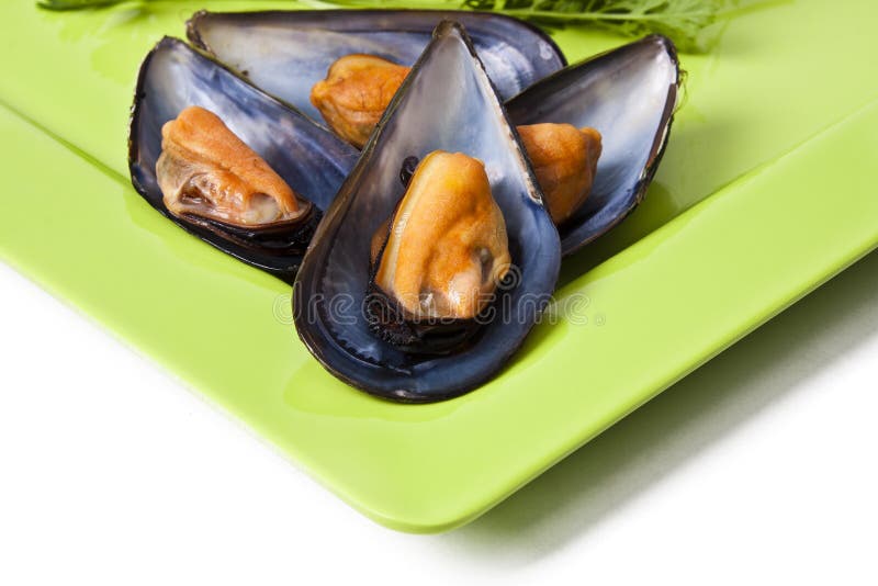 Natural mussels stock photo. Image of origin, fish, mussel - 48004862