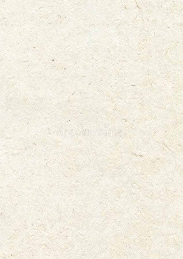 Organic Paper Texture