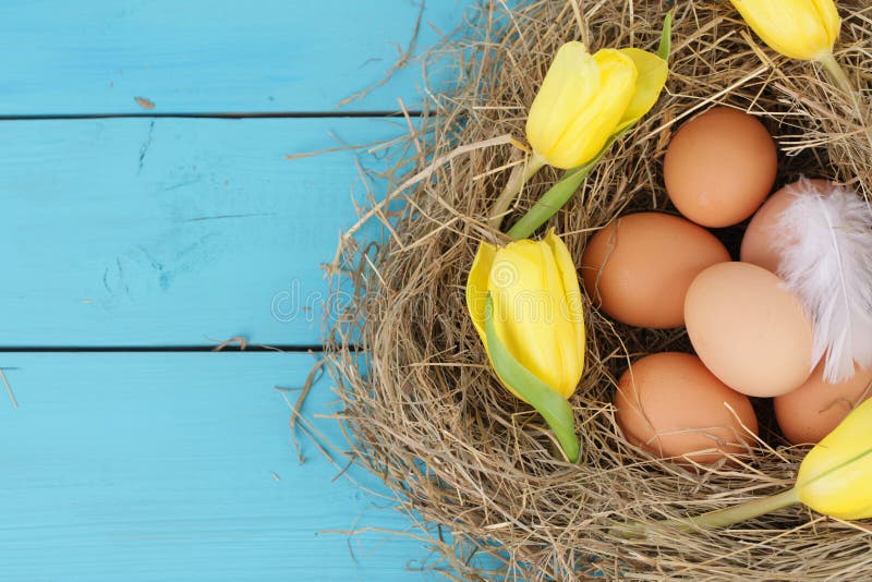 Natural Nest with Chicken Eggs Stock Image - Image of country, tulips ...