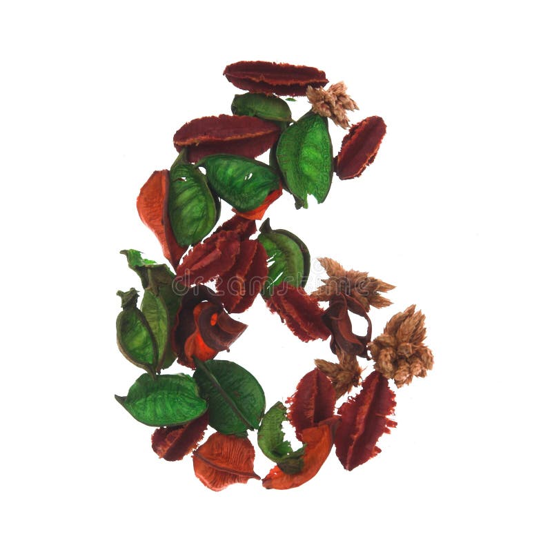 Natural number 6 stock photo. Image of native, logogram - 4279226