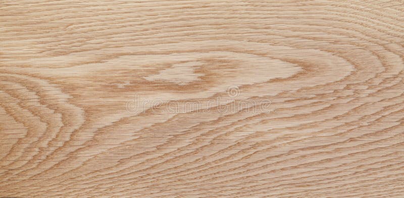 Natural Oak High Detailed Texture Stock Image - Image of nature, color ...