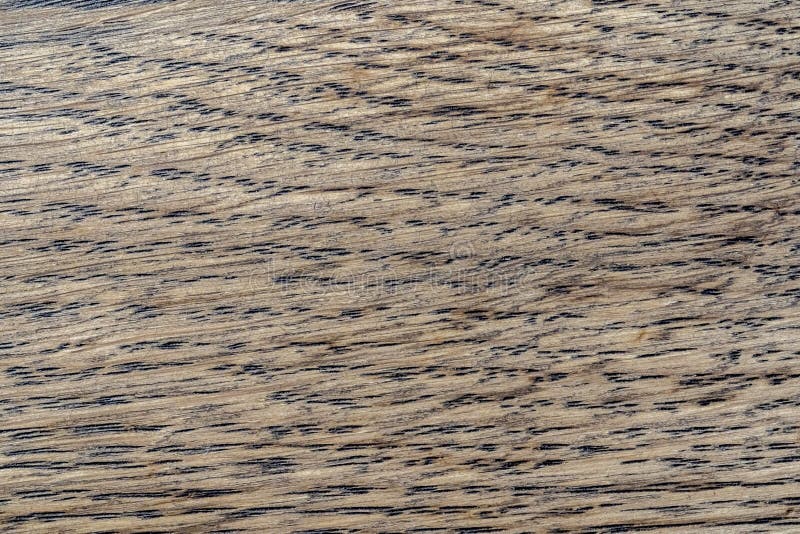 Natural Oak Pattern. Macro Shot of Oak Texture Stock Photo - Image of ...