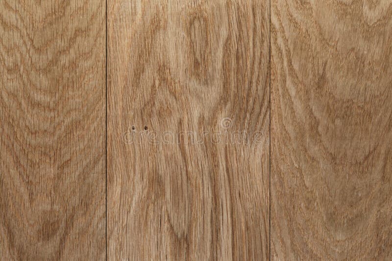 Natural Oak Table Template with Blurred Oak Tree on Background Stock ...