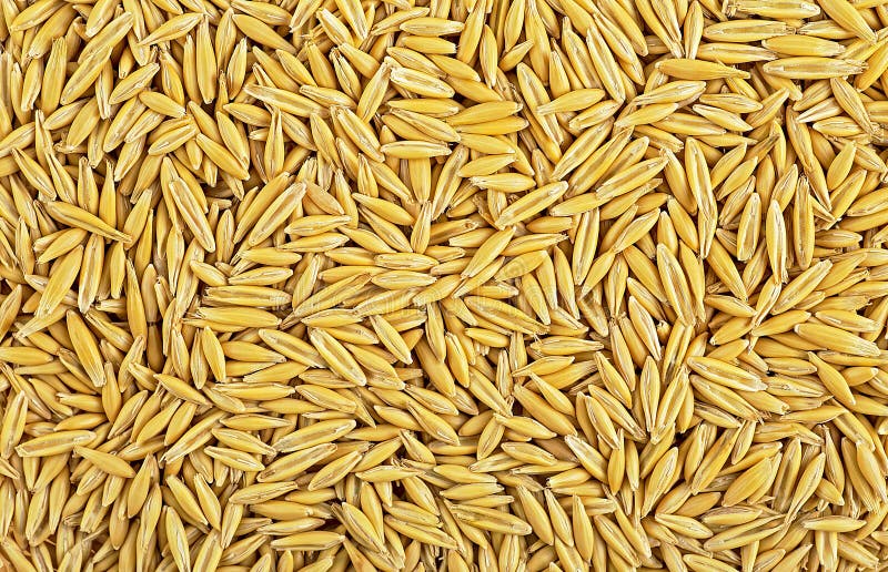Natural Oat Grains As Background, Top View. Heap of Oat Seeds Stock ...