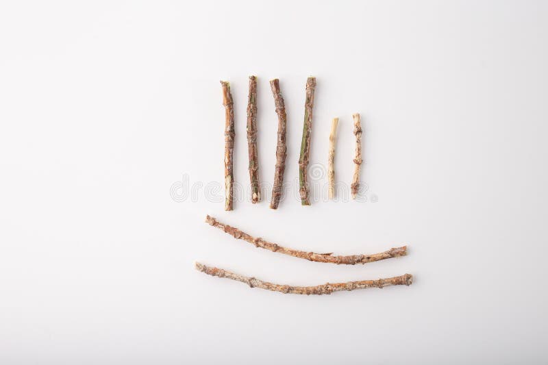 Natural Objects on a White Background. Sticks of Different Lengths and ...