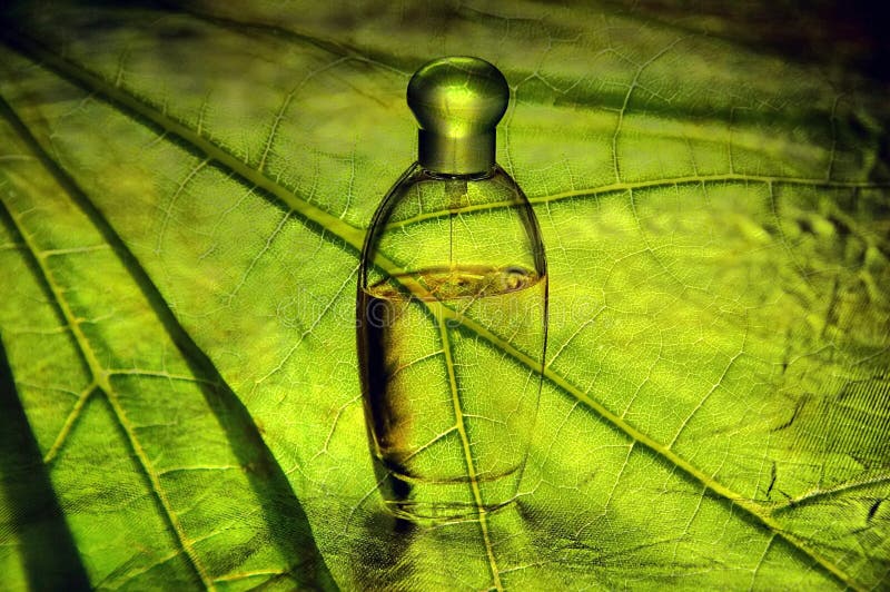 Natural oils stock image. Image of background, natural - 10779031