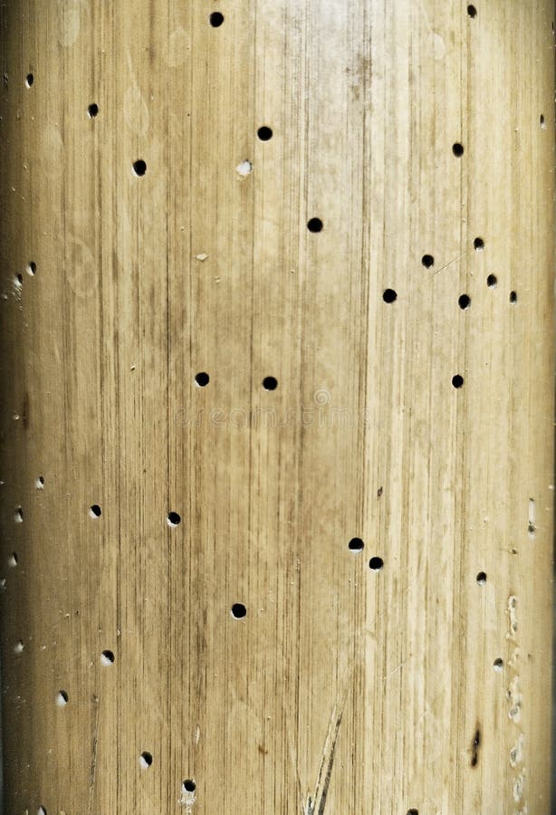 Natural Old Bamboo Texture Art Stock Image - Image of texture, bamboo ...