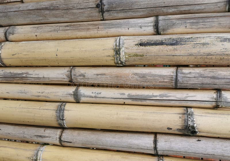 Natural old bamboo texture stock photo. Image of organic - 340486212