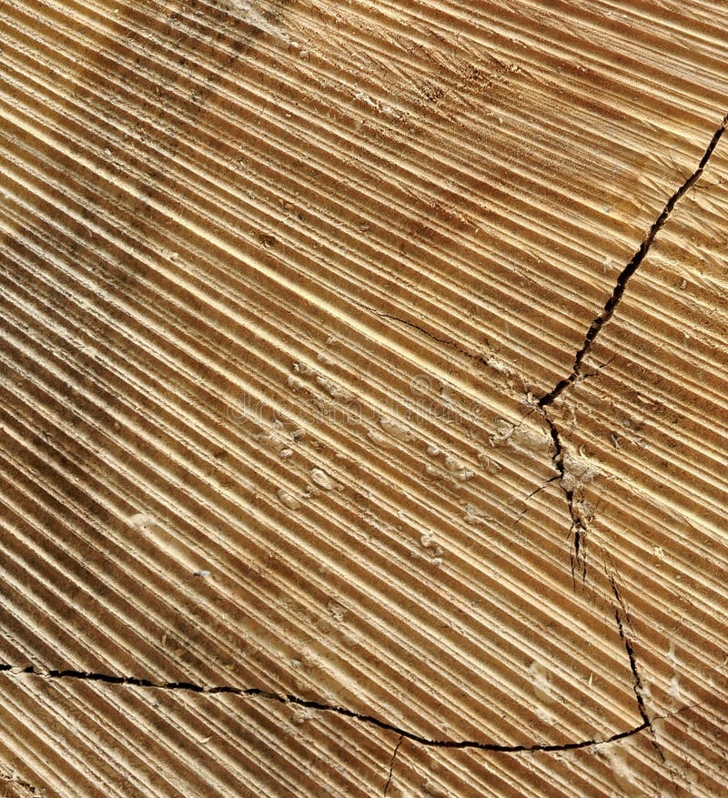 Natural Old Wood Grain Log Square Frame Texture Close-Up Stock Photo ...