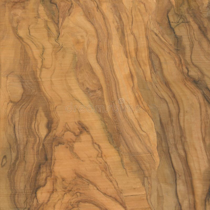 Olive Wood Slab Stock Photos - Free & Royalty-Free Stock Photos from ...
