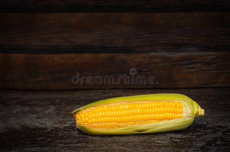 Natural One Ear of Corn. Harvest Stock Photo - Image of food, closeup ...