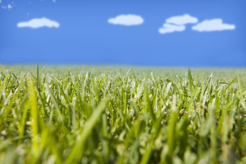 Natural Open Space and Green Stock Image - Image of open, ecosystem ...