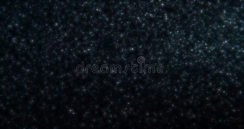 Natural Dust Particles System Floating on Black Screen. Slow Motion ...