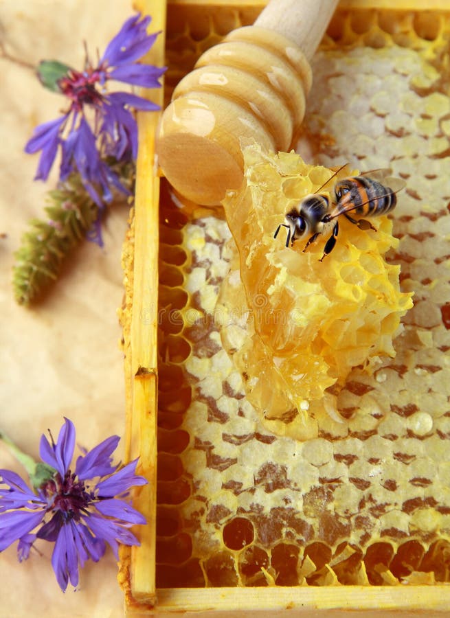 Natural Organic Flower Honey Stock Photo - Image of flower, flowers ...