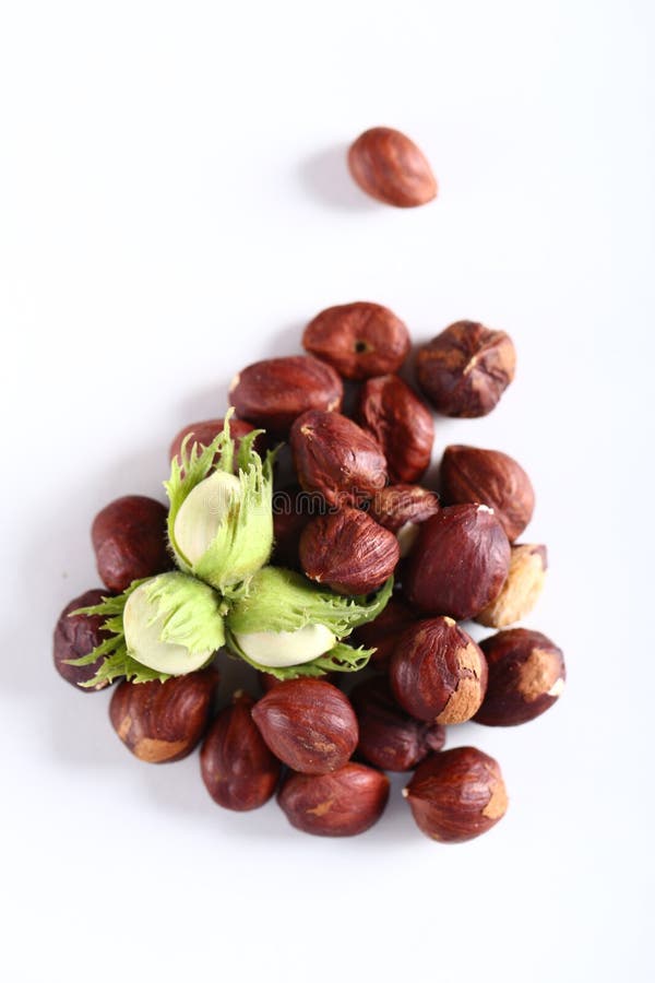 Organic hazelnut nut stock image. Image of hazelnut - 190931875