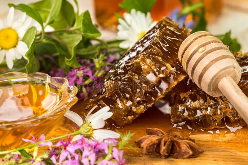 Natural Organic Honey on a Wooden Table. Stock Photo - Image of golden ...
