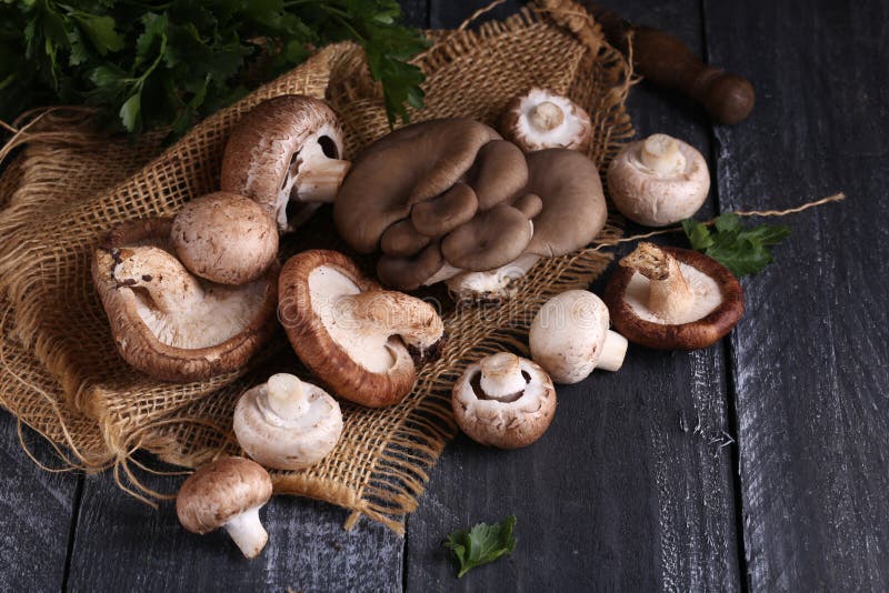 Natural organic mushrooms stock image. Image of freshness - 176366167