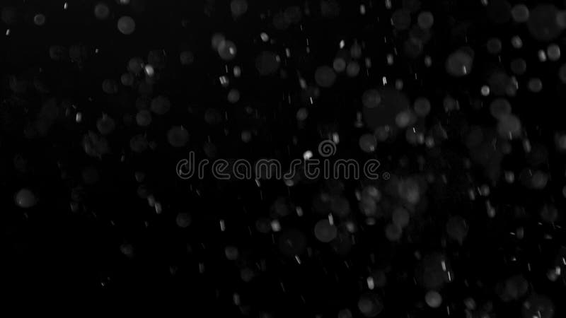 Natural Organic Particles Randomly Float in the Air on a Black ...