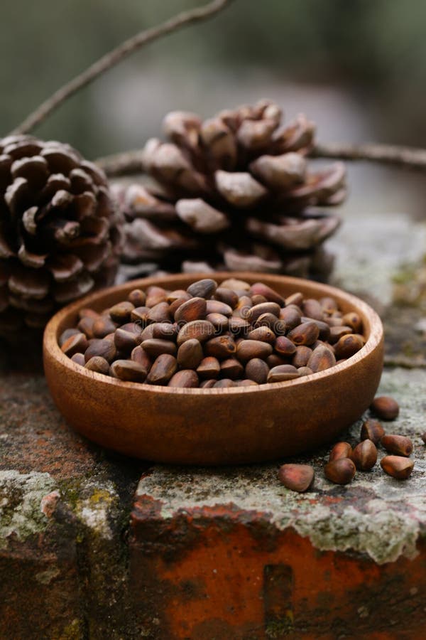 Organic Pine Cones and Nuts Stock Image - Image of group, cooking ...