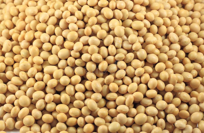 Soybean Background stock image. Image of eating, lifestyle - 29904397