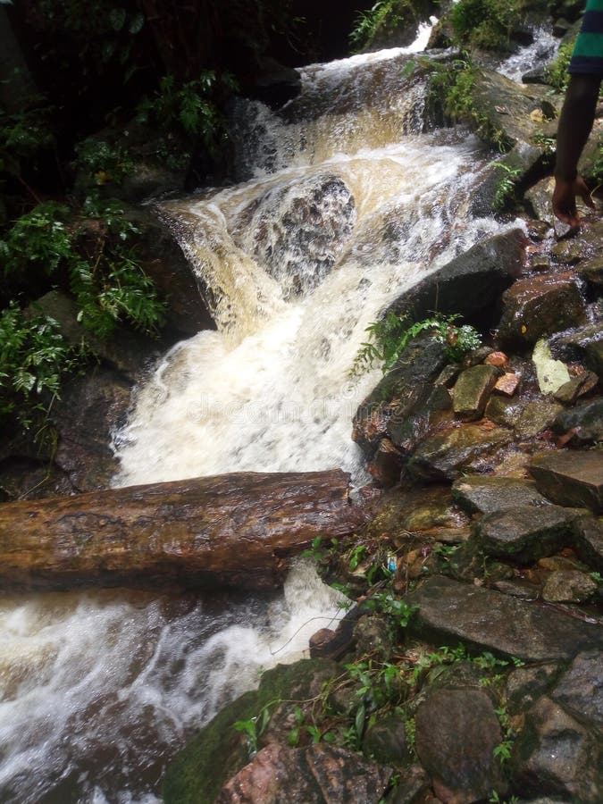 A Natural Overflowing River Stock Photo - Image of natural, nature ...